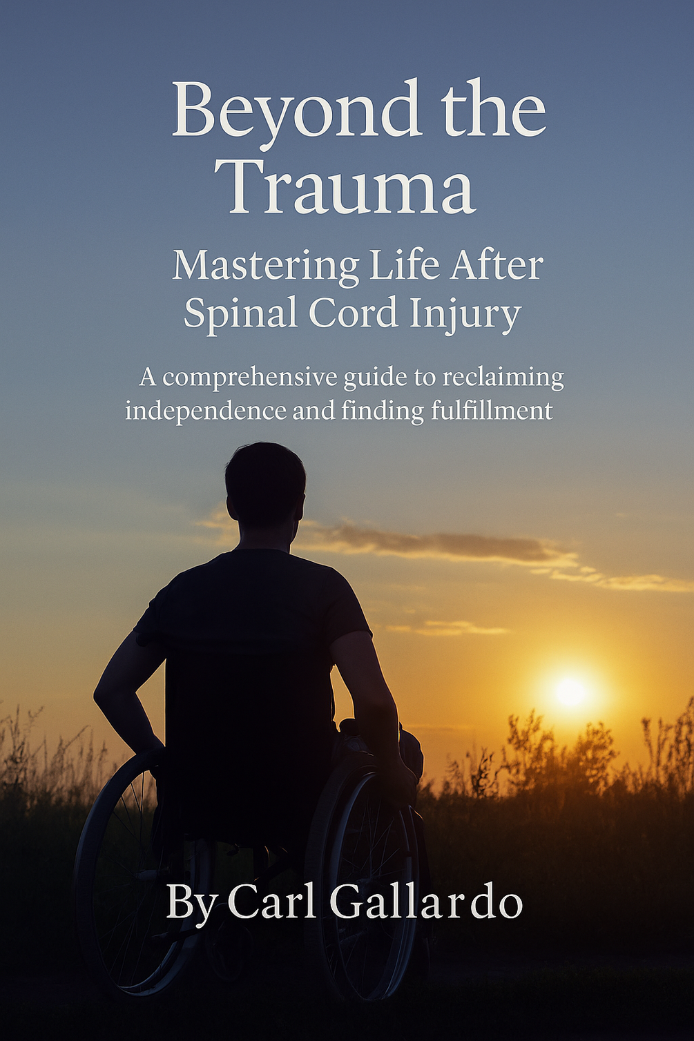 "Beyond the Trauma: Mastering Life After Spinal Cord Injury" By Carl ...