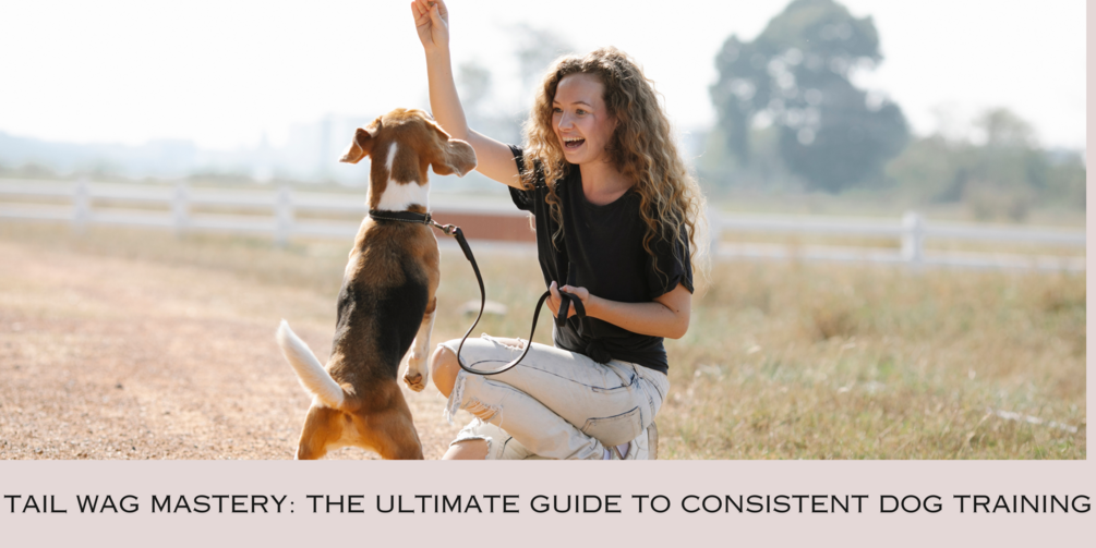 Tail Wag Mastery: The Ultimate Guide to Consistent Dog Training