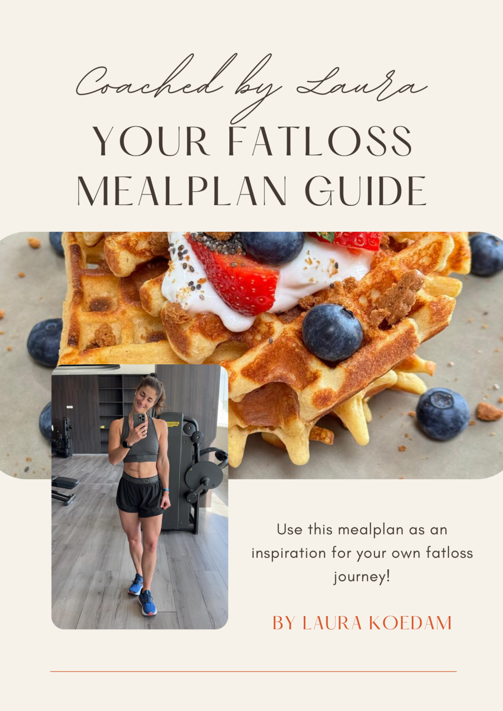 Fatloss Mealplan