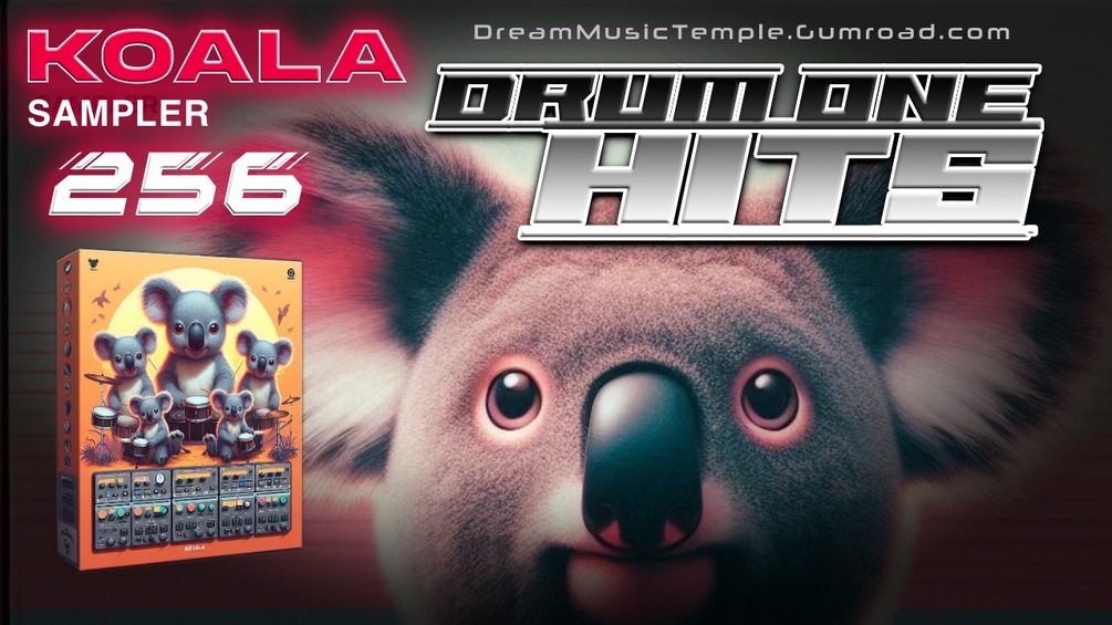 256 DrumOneHits for Koala Sampler
