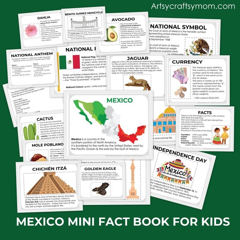 ALL ABOUT NEW MEXICO - COUNTRY FACT BOOK FOR KIDS