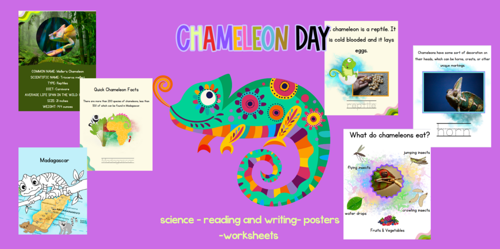 Chameleon Unit Study Worksheets Animals Activity - Preschool