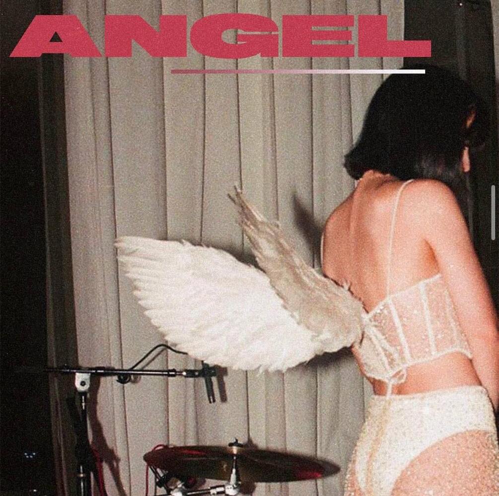 ANGEL LOOP KIT - RNB & ELECTRONIC LOOPS, DRUMS, ARTURIA PRESETS