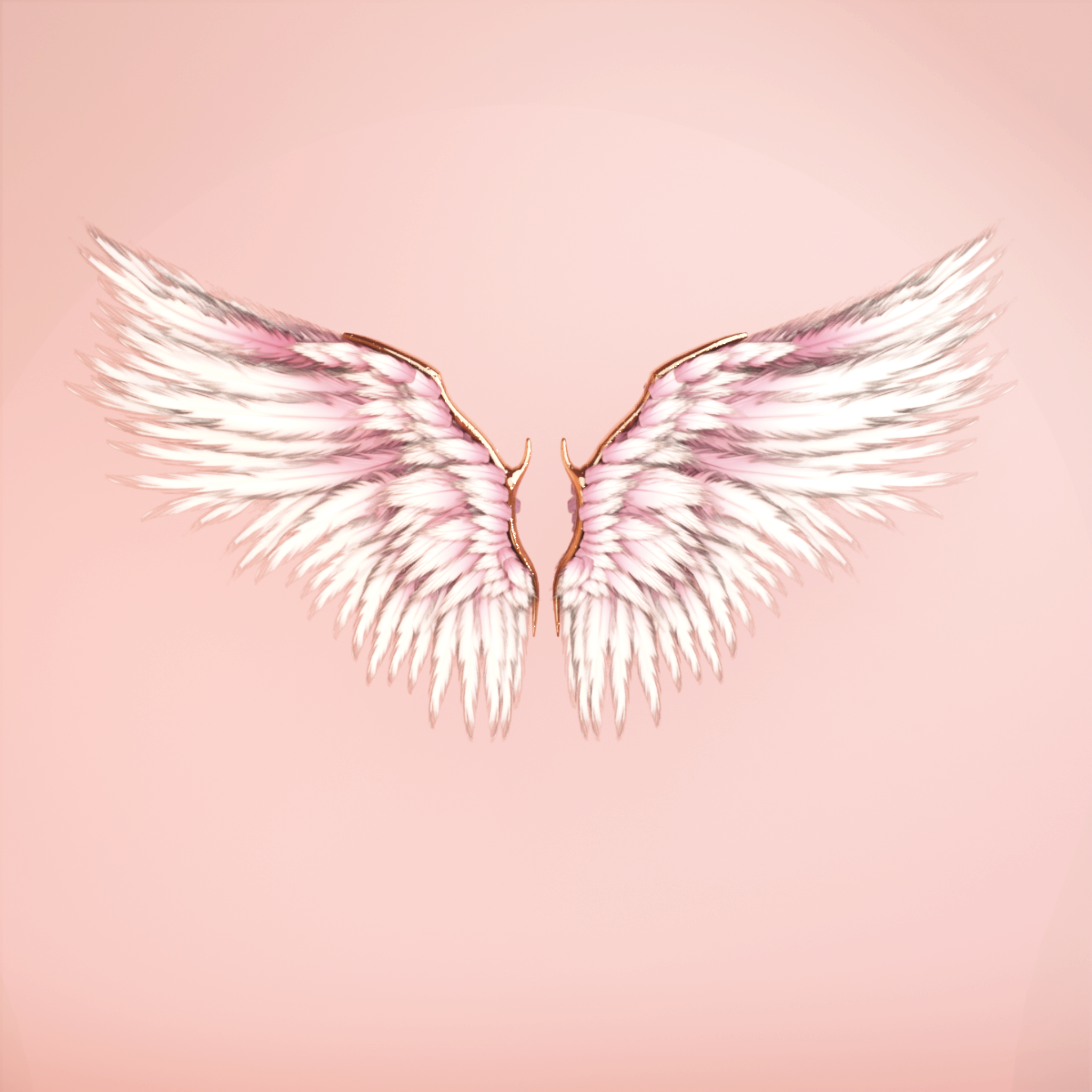 [ 3D asset / VRCHAT ] Animated Wings Free
