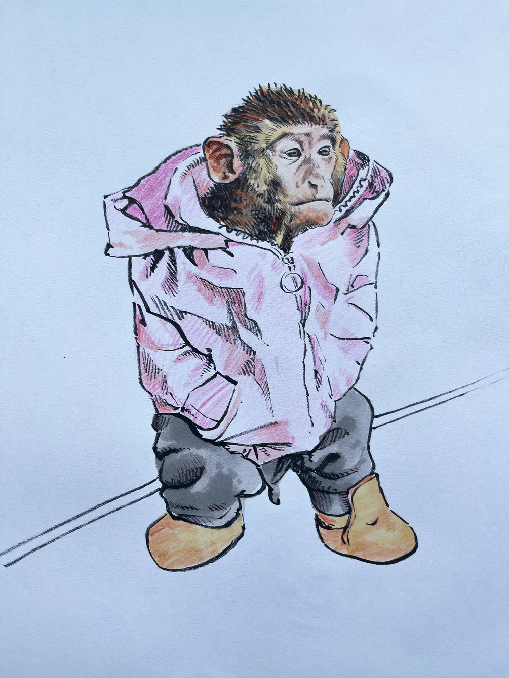Pink Monkey print