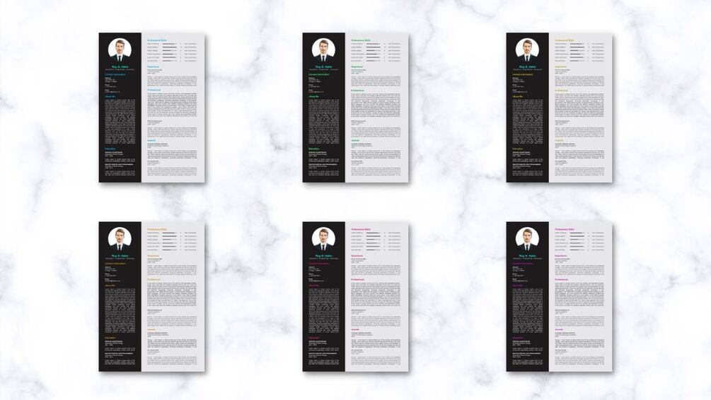 Professional Resume Template in 6 Different Colors Variations