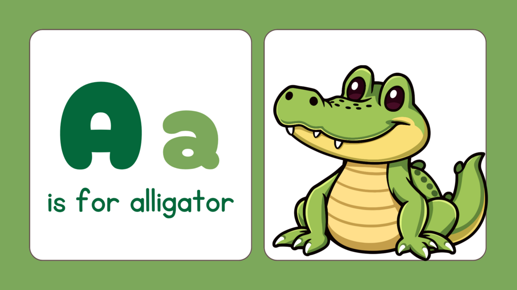 Animal Explorers Flashcards