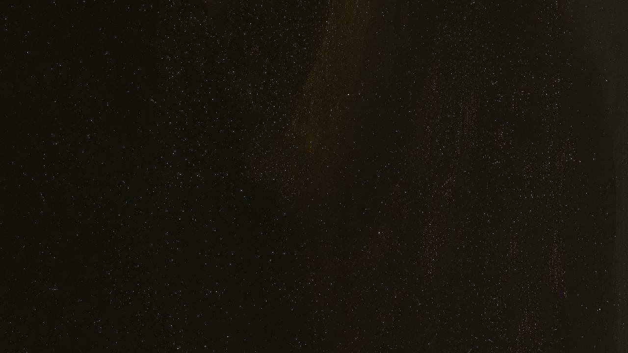 Anson Phelps Stokes by Julius Rolshoven