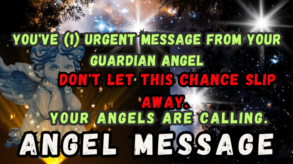 👼ANGEL MESSAGE ~Angel Are Saying ~ You’re The True Love Of Their Life ...