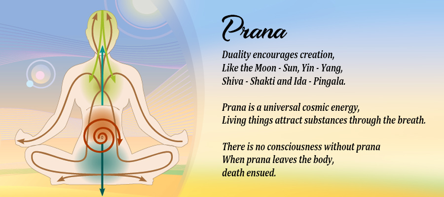 Prana Flow: A Gateway to Limitless Energy and Vitality