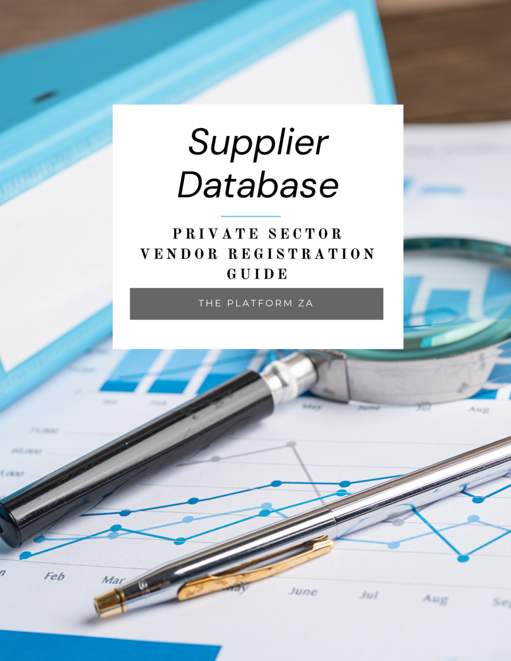 Private Sector Vendor Portals Ebook