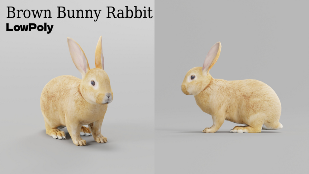 Brown Bunny Rabbit