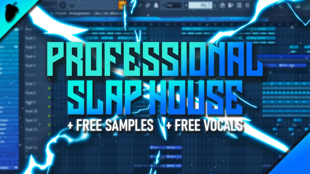 Professional Slap House FLP
