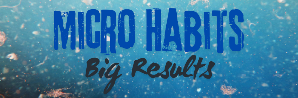 Micro Habits, Big Results