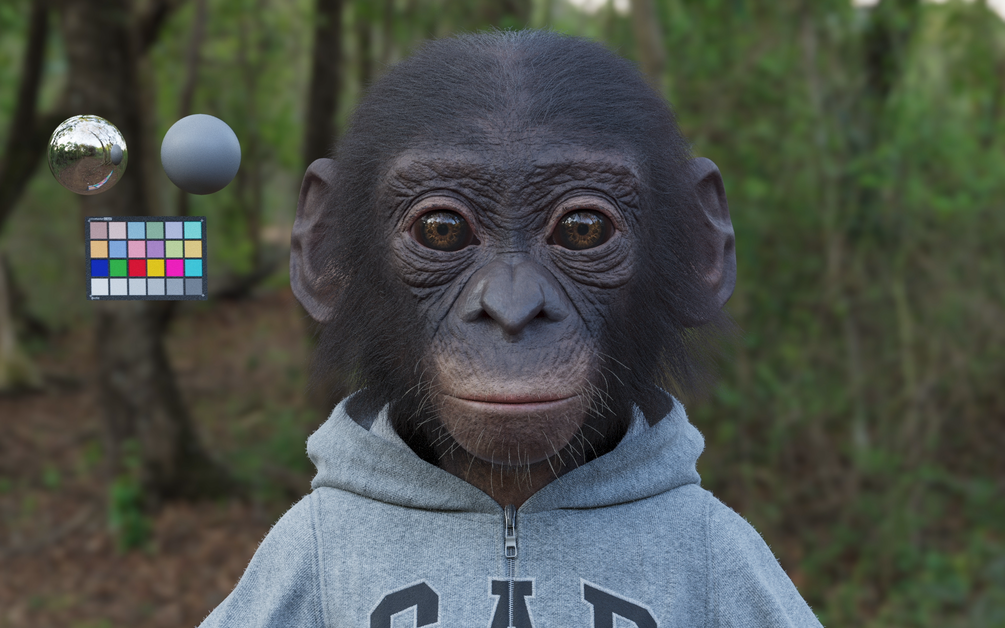 Baby Bonobo Ape