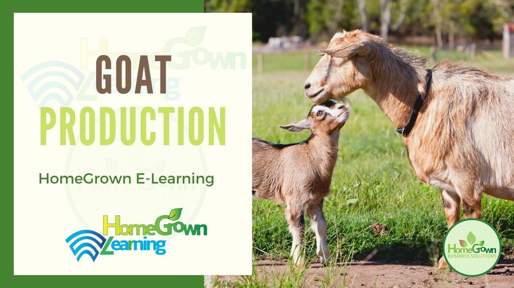 Commercial Goat Production