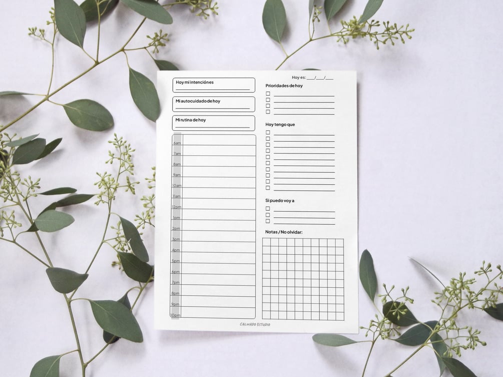 Daily Planner - Template / Plantilla gratis (Imprimible)