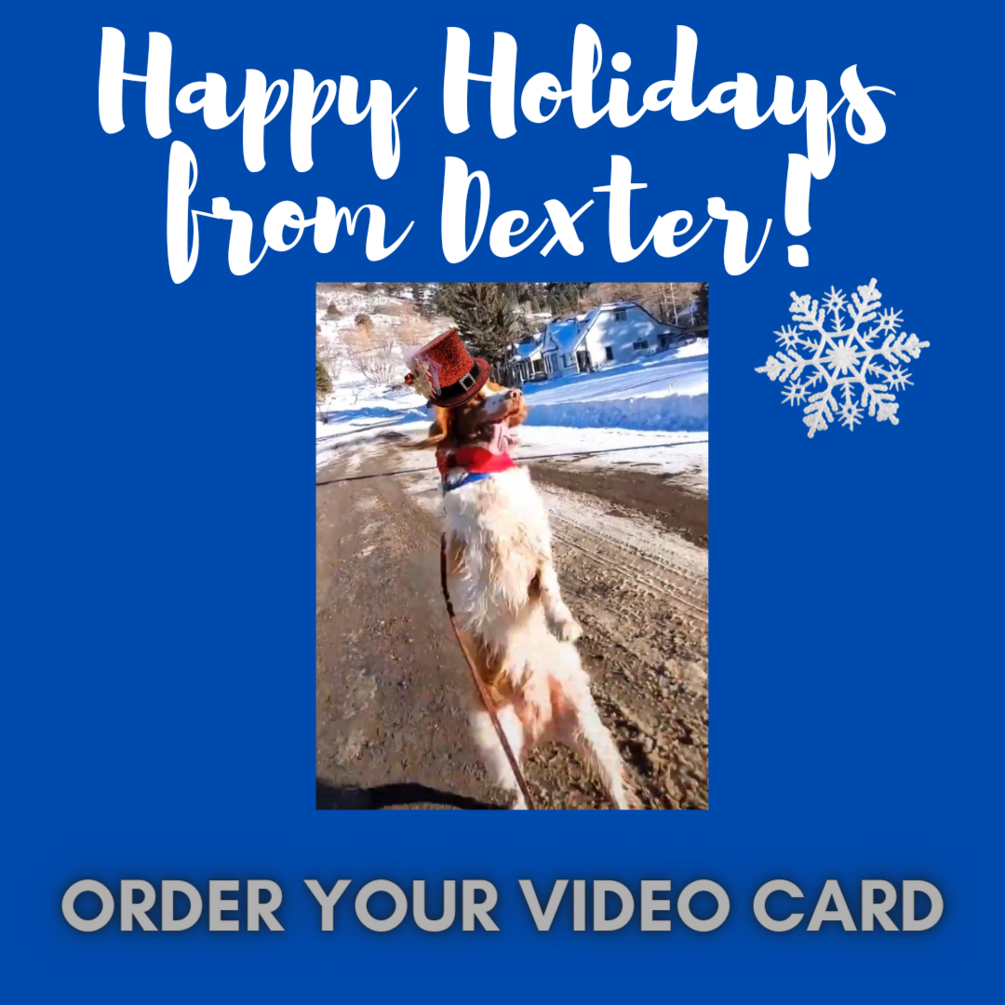 Happy Holidays Card from Dexter