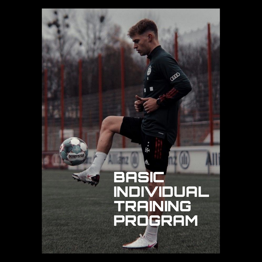 BASIC INDIVIDUAL TRAINING PROGRAM