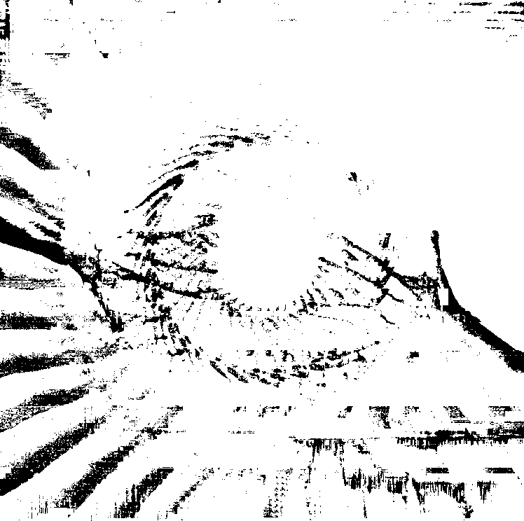 unreason and empty space - bits and pieces