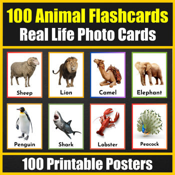 100 Animal Flashcards for Kids I Printable Animal flashcard l Animal ...