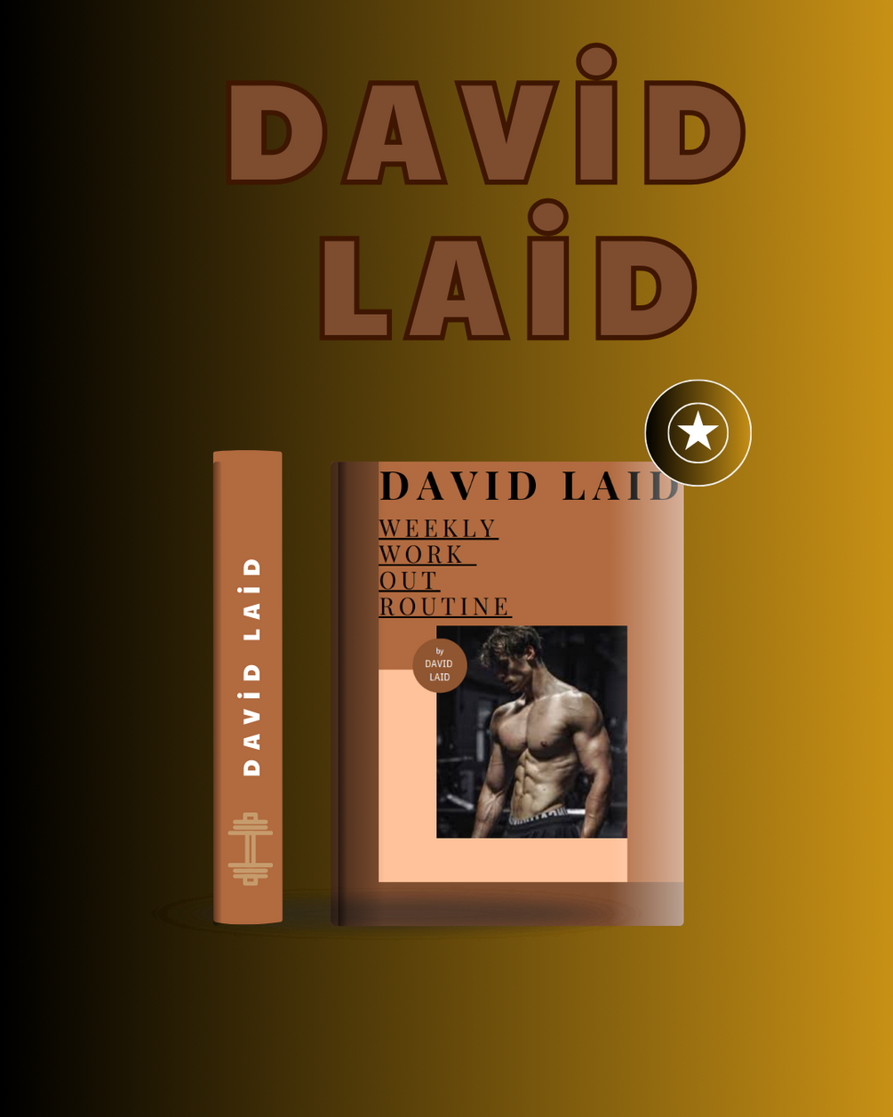 DAVID LAID WEEKLY WORKOUT ROUTINE