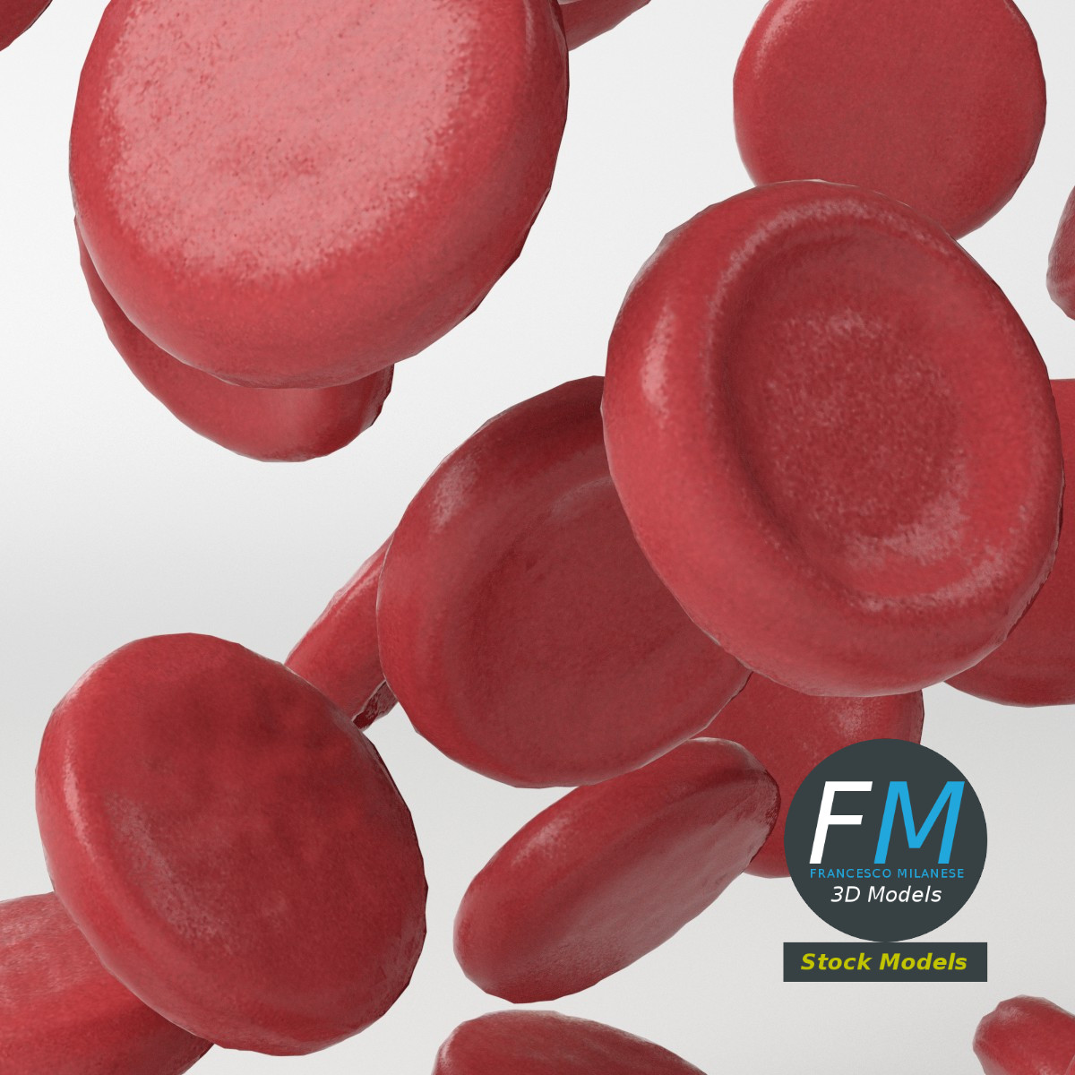3D MODEL - Red blood cells
