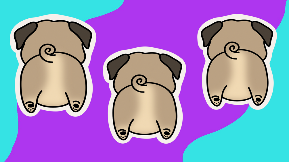 Pug Butt Laminated Vinyl Sticker