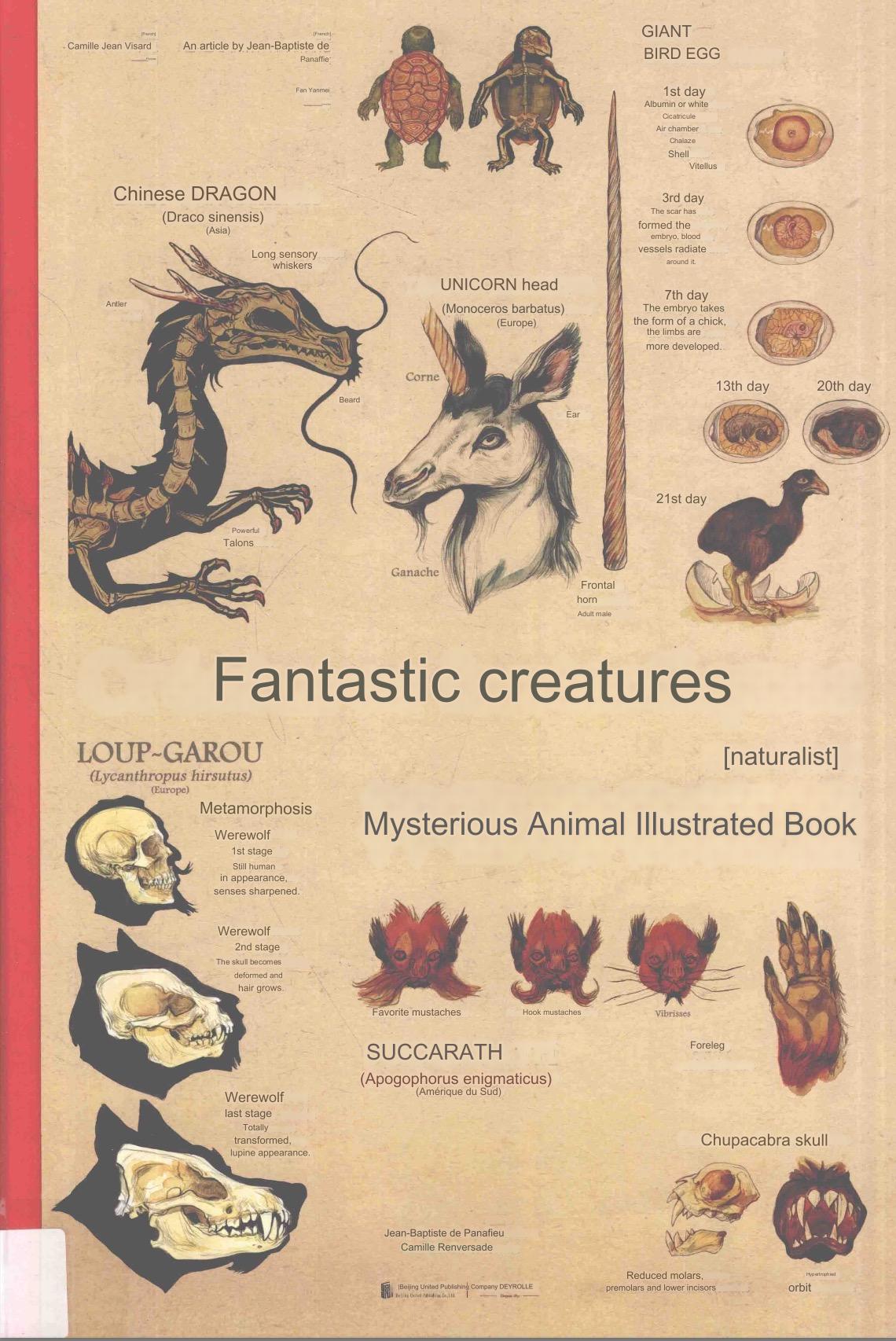 Mysterious animals in the world