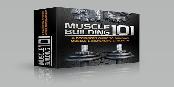 Muscle Building 101