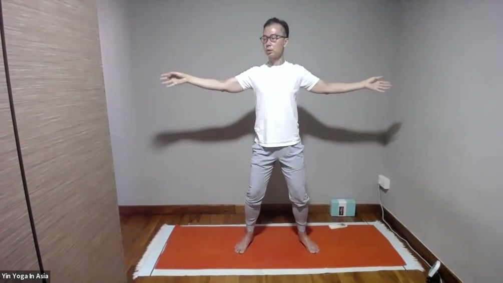 Basic Qigong & Swimming Dragon Practice 2 | Session 8