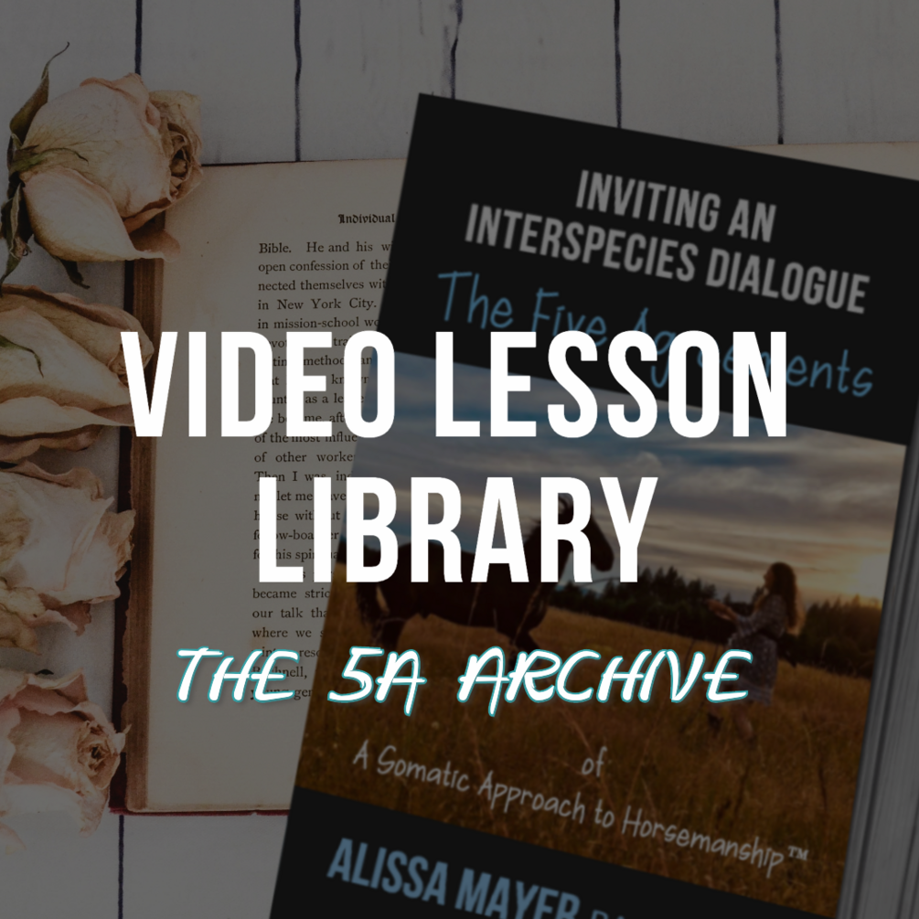ASATH ARCHIVE 8-Part Video Training