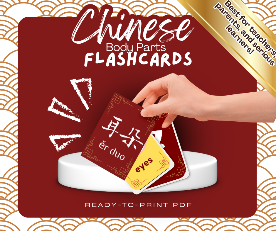 READY TO PRINT | Chinese Body Parts Flashcards (Simplified Chinese)