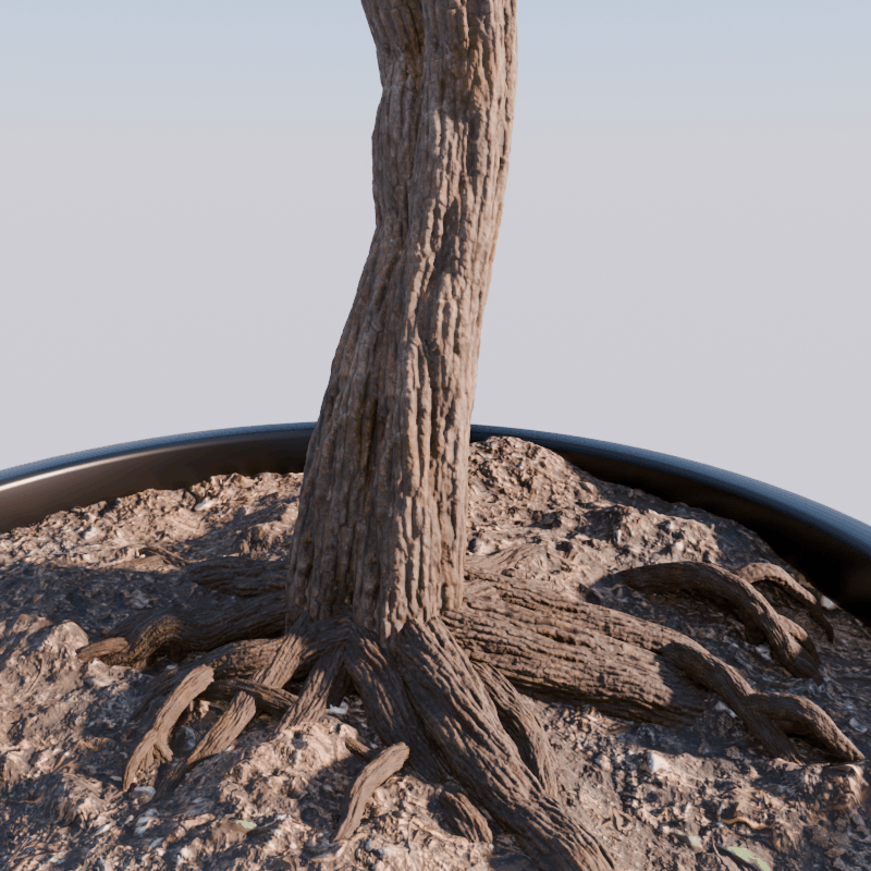 Procedural Tree Generator for Blender