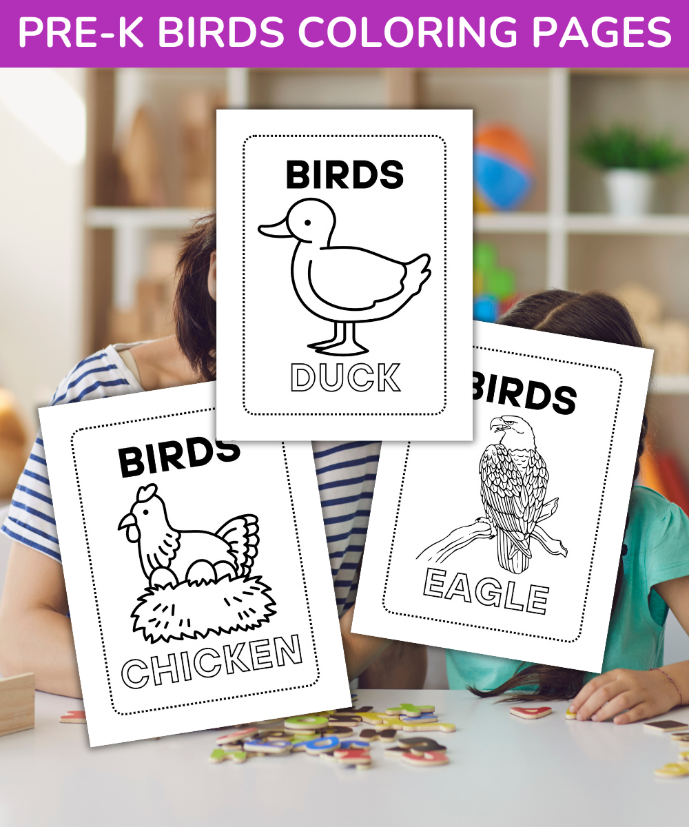 PreK Birds Coloring Pages - Set of 15 - Commercial Use Allowed