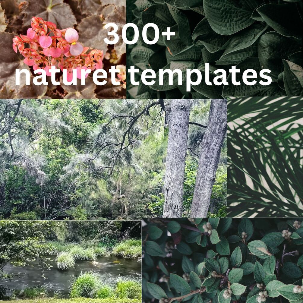 NATURE CANVA TEMPLATES 300+