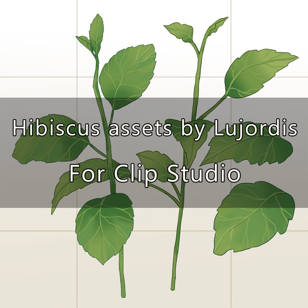 Hibiscus flower assets - For Clip Studio