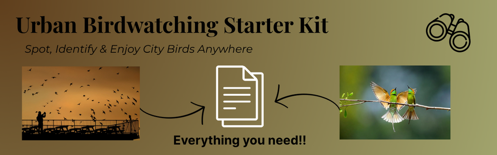 Urban Birdwatching Starter Kit