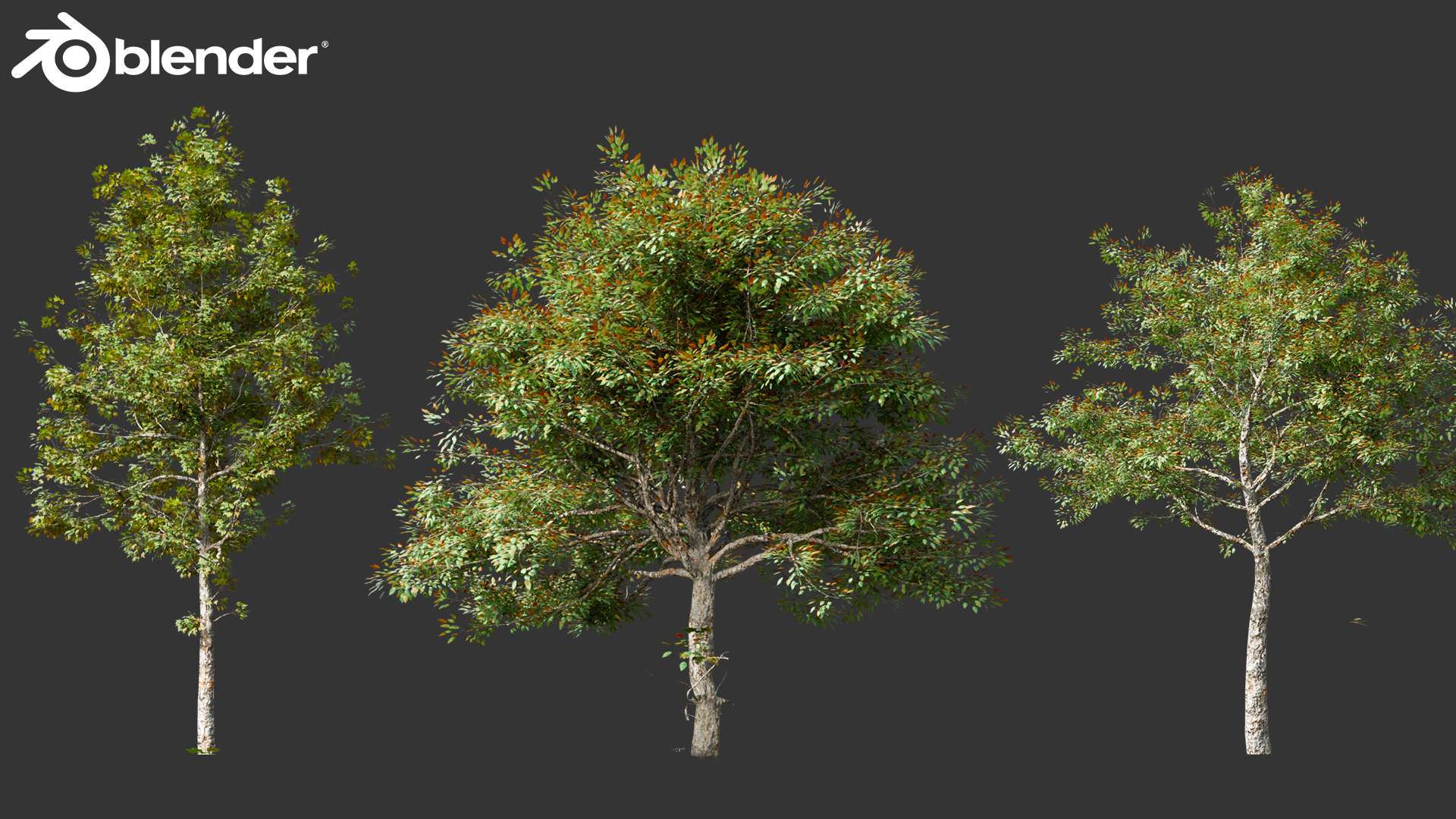 How To Easily Create Realistic Trees in Blender🌳 - Chuck_CG