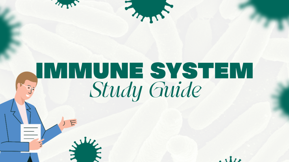 IMMUNE SYSTEM - STUDY GUIDE