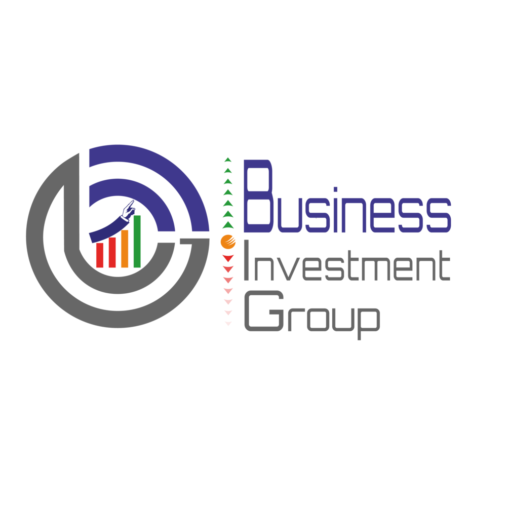 business Investment Group logo