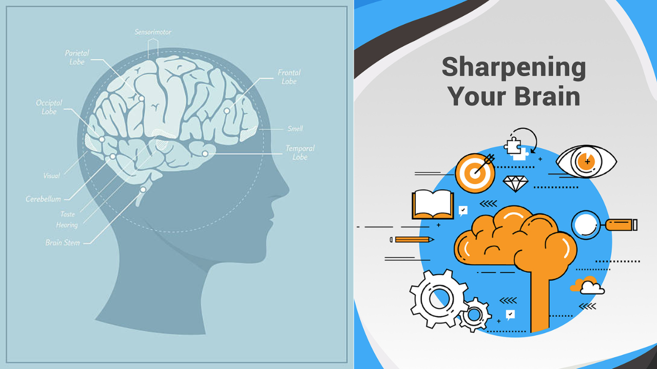 Sharpening Your Brain – Unlock the Full Potential of Your Mind