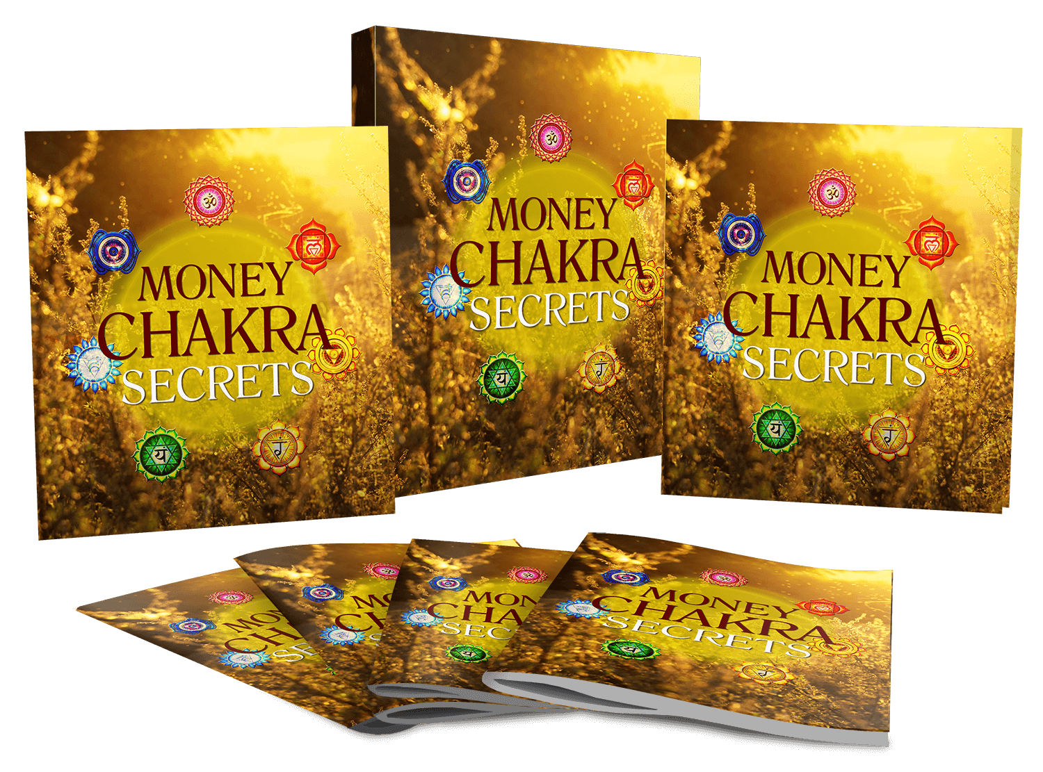 Money Chakra Secrets: The Path to Financial Freedom