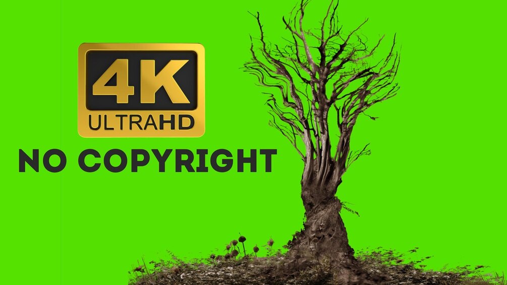 Halloween Moving Tree - Green Screen Footage 4K