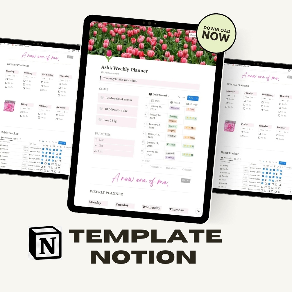 Personal Organization Notion Template