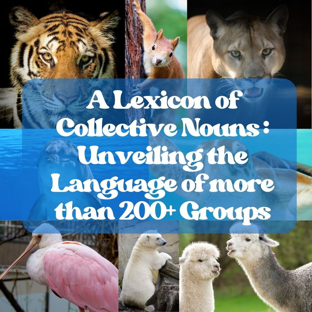 A Lexicon of Collective Nouns more than 200+ Groups