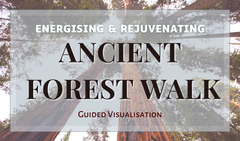Forest Walk Guided Visualisation for Energy and Vitality