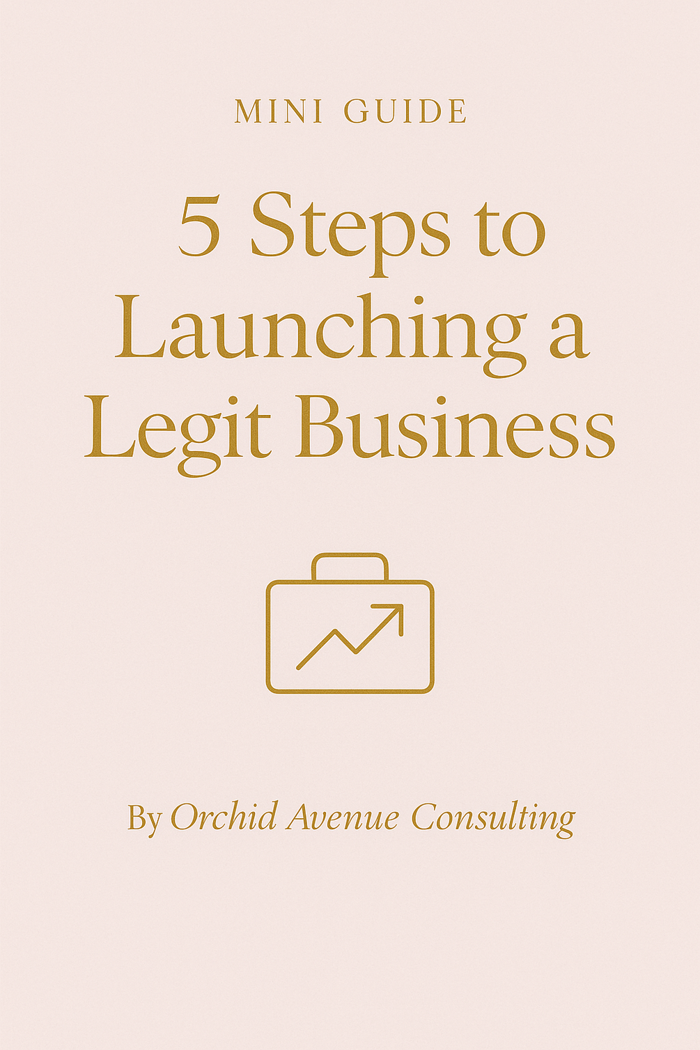 Mini Guide: 5 Steps to Launching a Legit Business