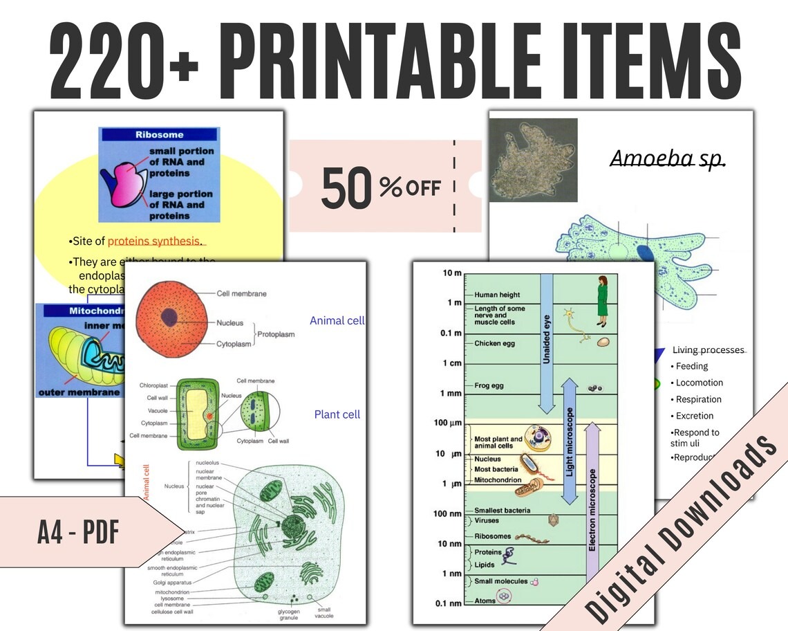 Biology Success: 220+ Downloadable Pages for Exam Success!