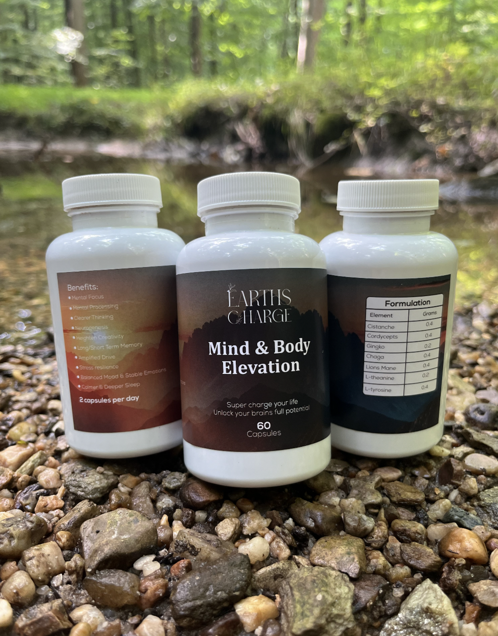 Earth's Charge Mind & Body Elevation